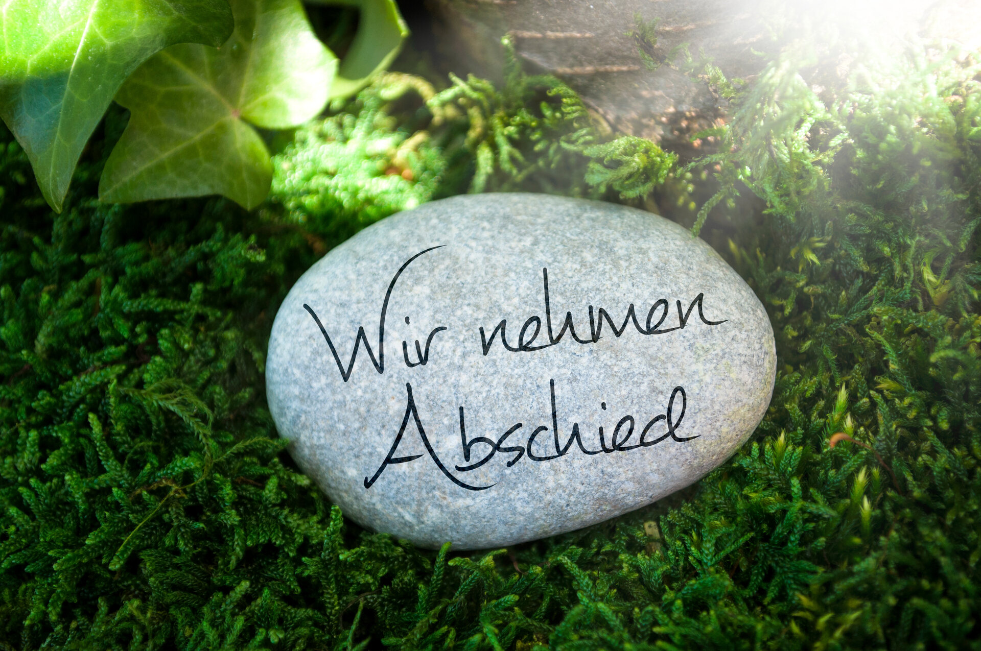 Trauerprodukte - Tipps zum Abschied nehmen - Dein Produkt-Ratgeber